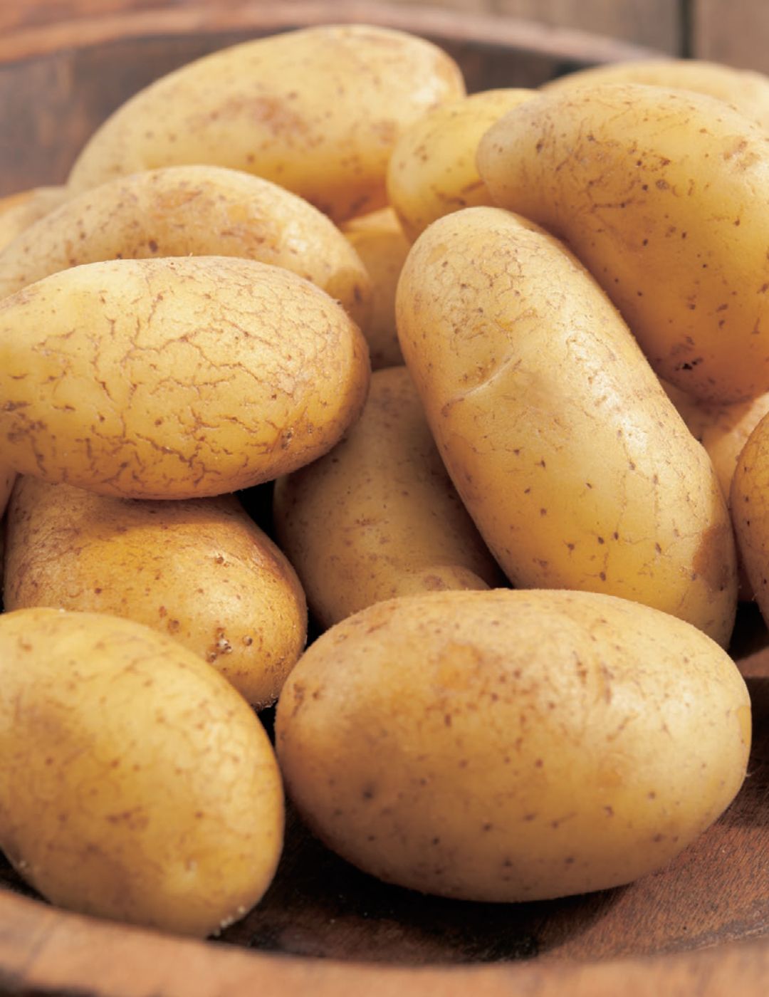 Sebago Potato Tubers (500g bag) | Mr Fothergill's