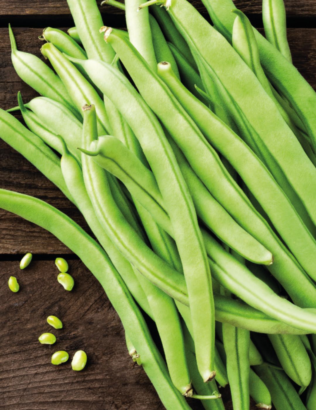 Dwarf Bountiful Baby Bean Seeds | Mr Fothergill's