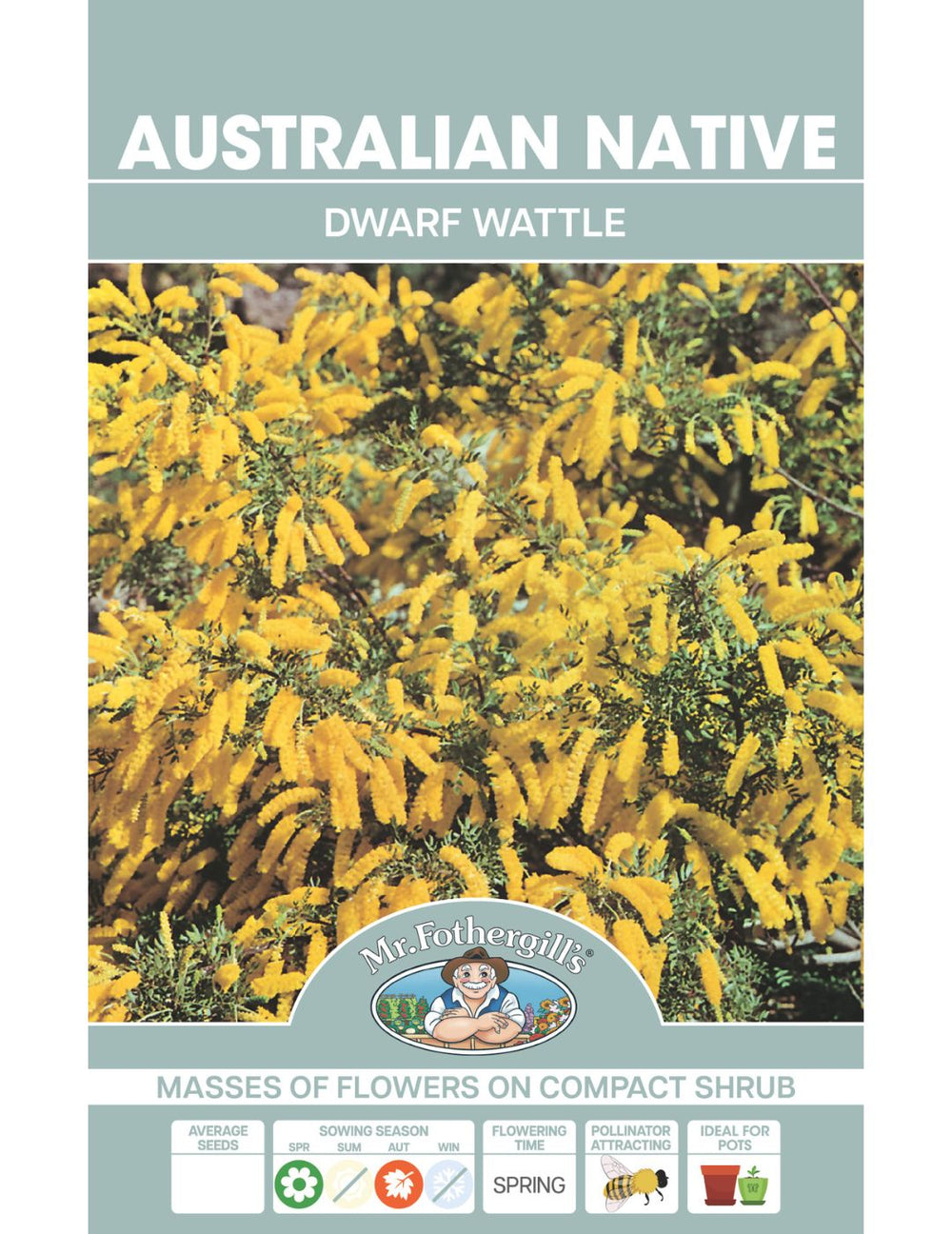 Dwarf Wattle Australian Native Seeds | Mr Fothergill's