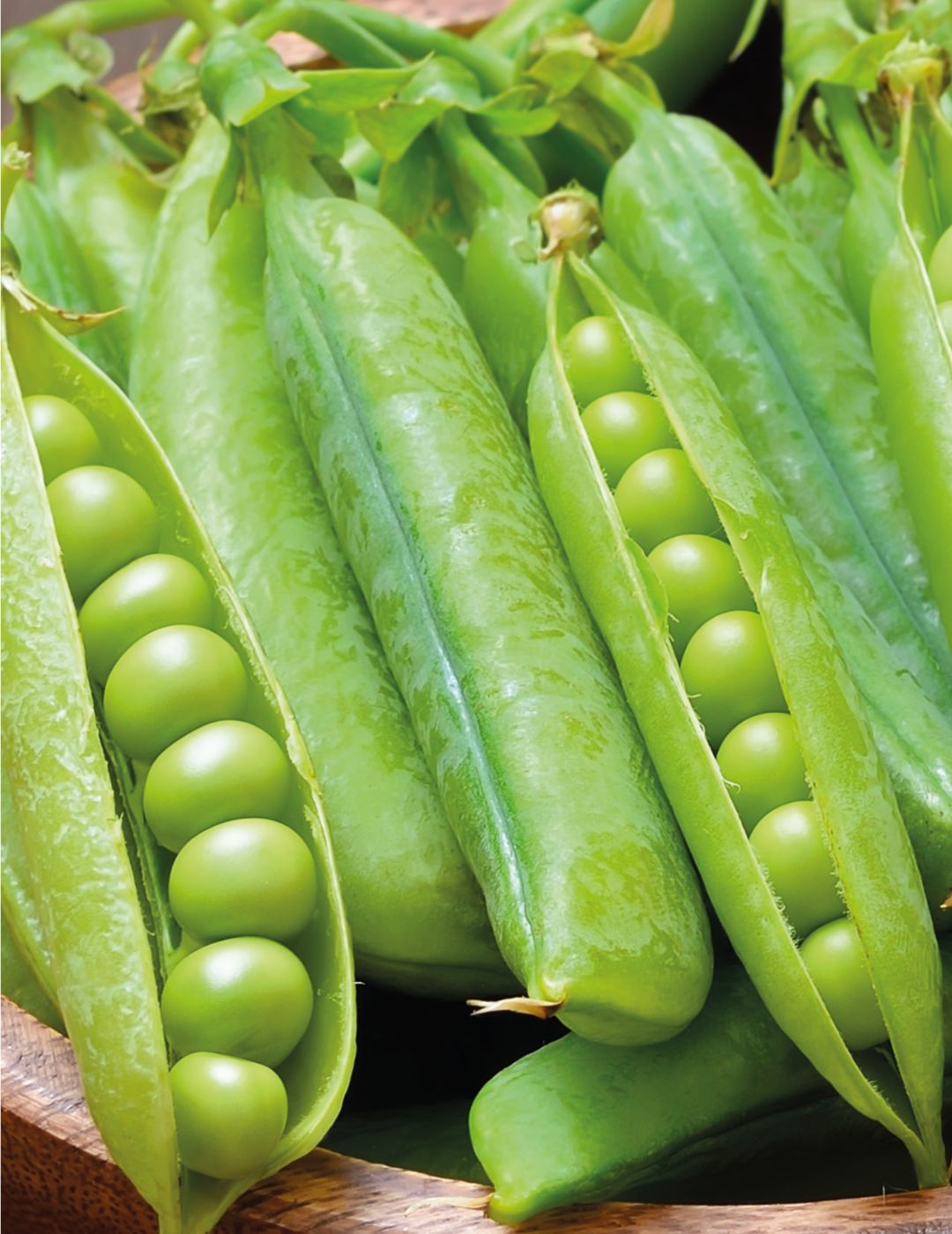 Dwarf Blue Bantam Pea Seeds | Mr Fothergill's