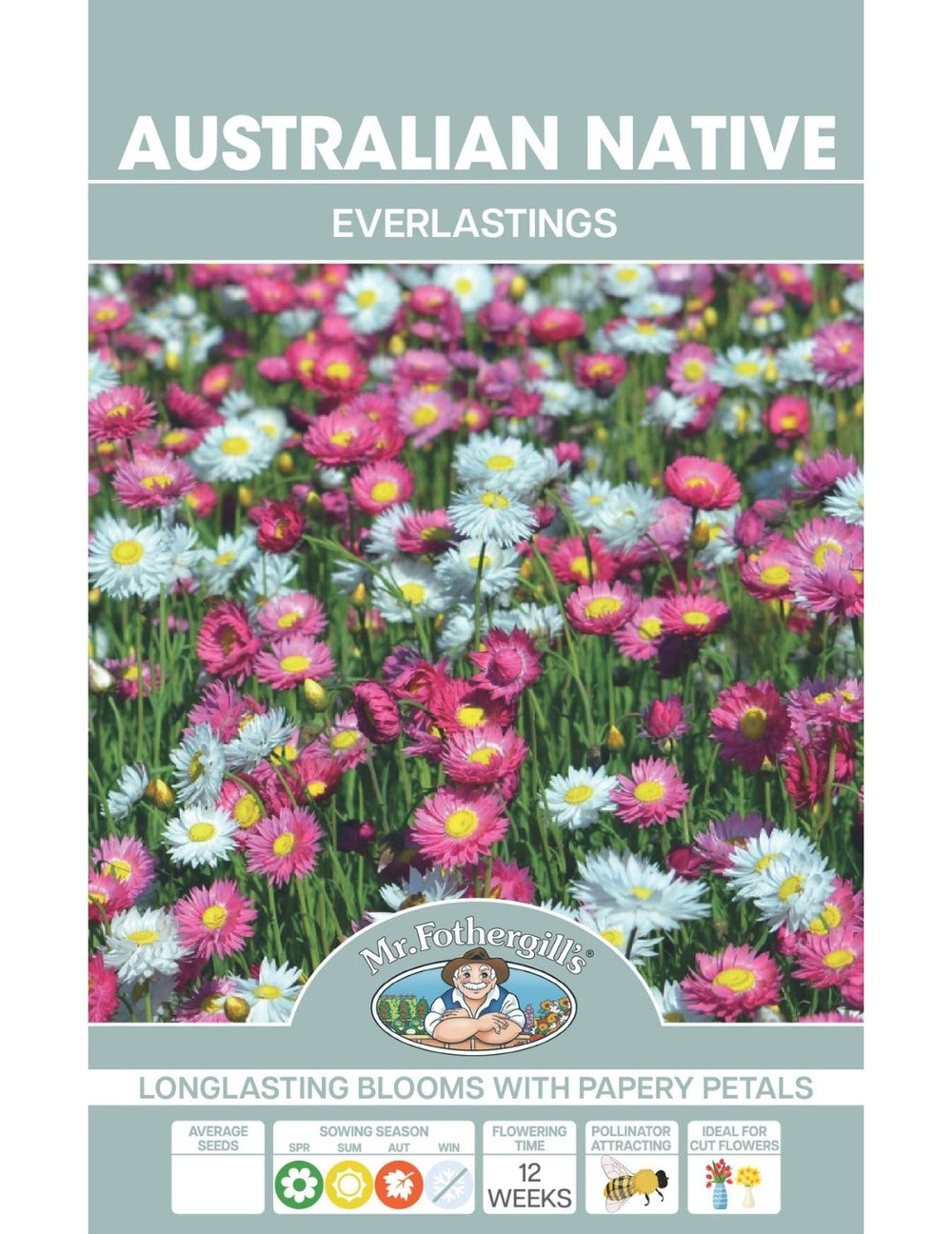 Everlasting Daisies Australian Native Seeds | Mr Fothergill's