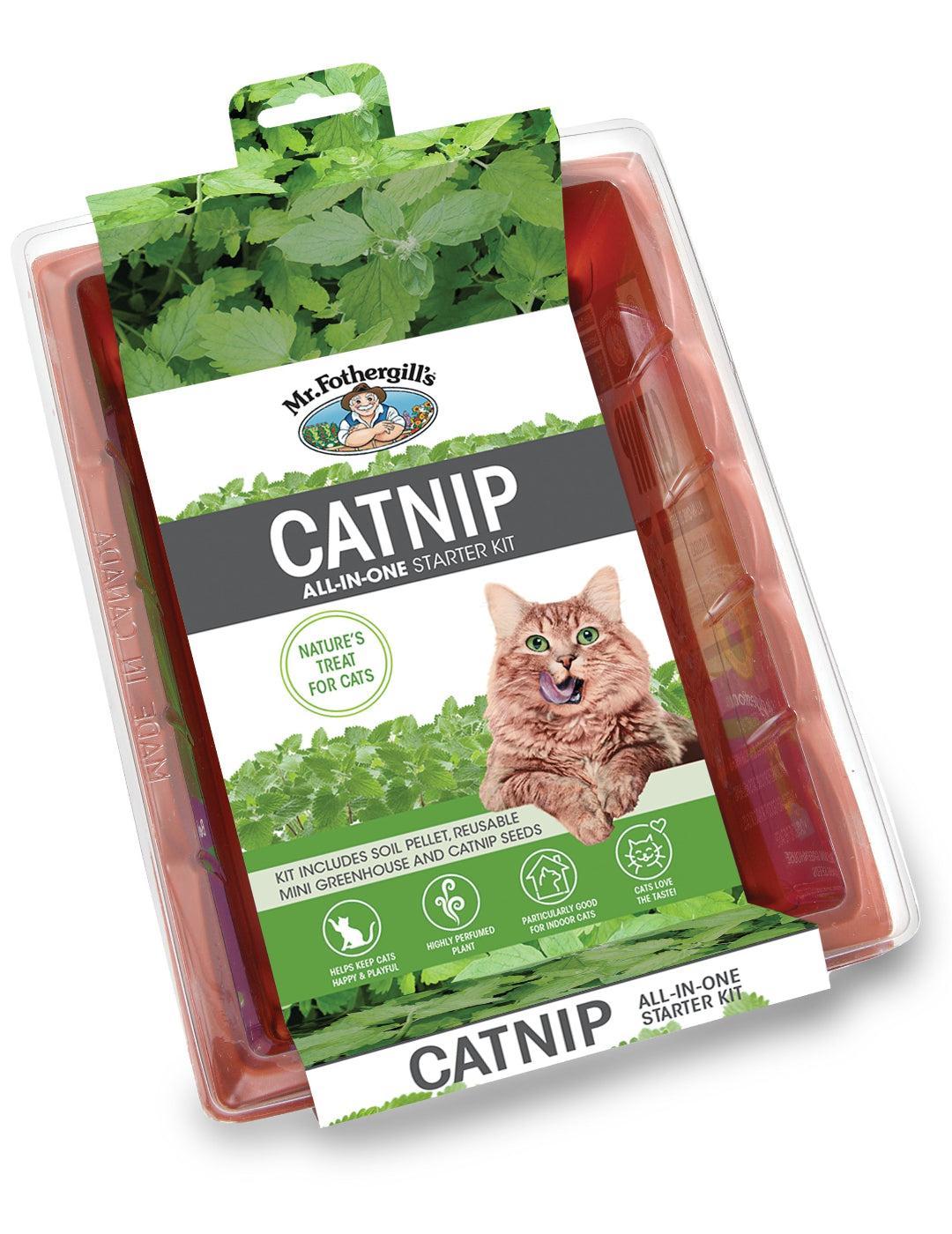 Catnip Seed Raiser | Seed Raiser Kits | Mr Fothergill's