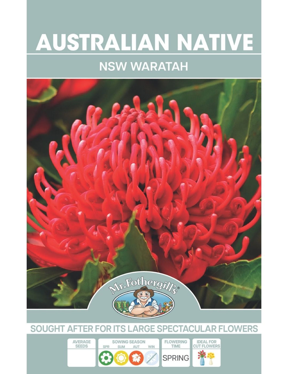 Australian Native Seeds | Australian Wildflower Seeds | Mr Fothergill's