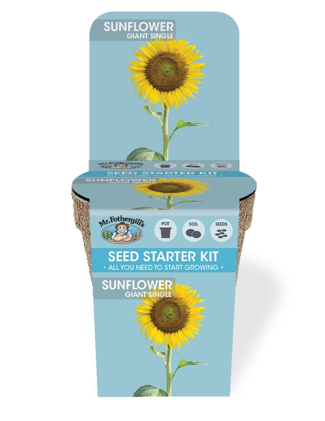 Giant Single Sunflower Seed Starter Kit | Mr Fothergill's