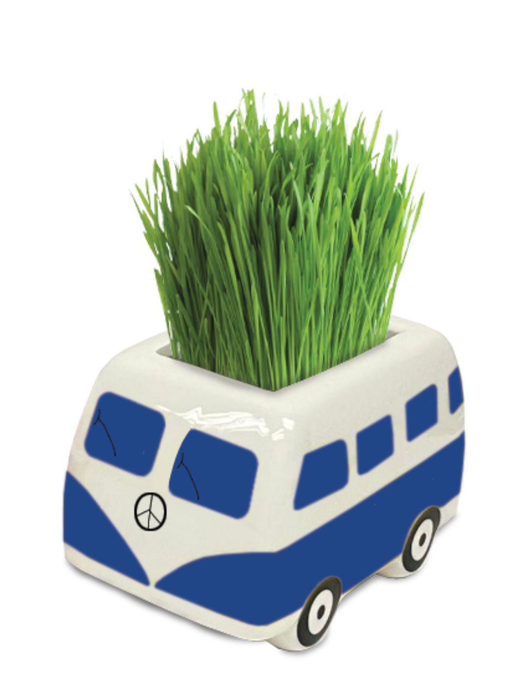 Good Vibes Minivan Grow Kit - Blue | Rye Grass | Mr Fothergill's