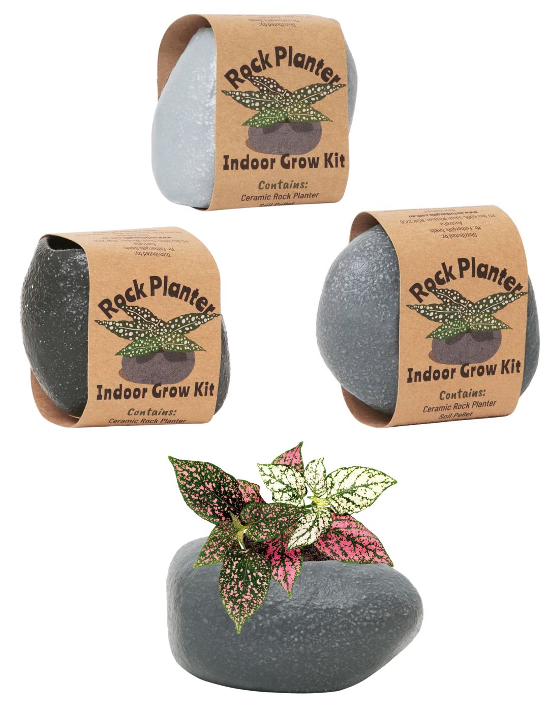 Rock Planter 3 Pack Gift | Mr Fothergill's