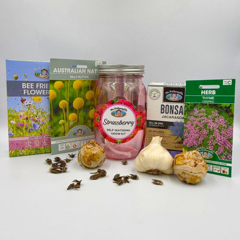 How to Grow Ranunculus | Growing Guide | Mr Fothergill’s Seeds