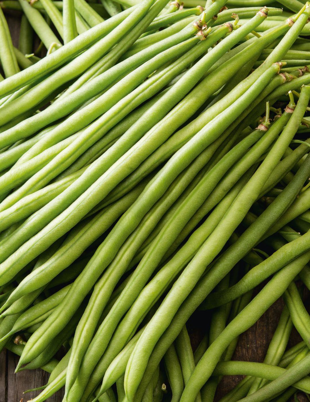 Dwarf Simba Bean Seeds | Mr Fothergill's