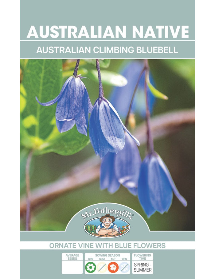 Australian Native Climbing Bluebell Seeds | Mr Fothergill's
