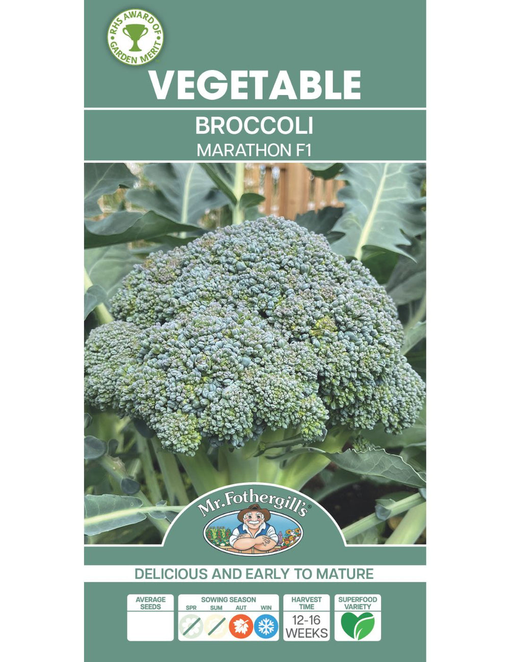 Marathon F1 Broccoli Seeds | Mr Fothergill's