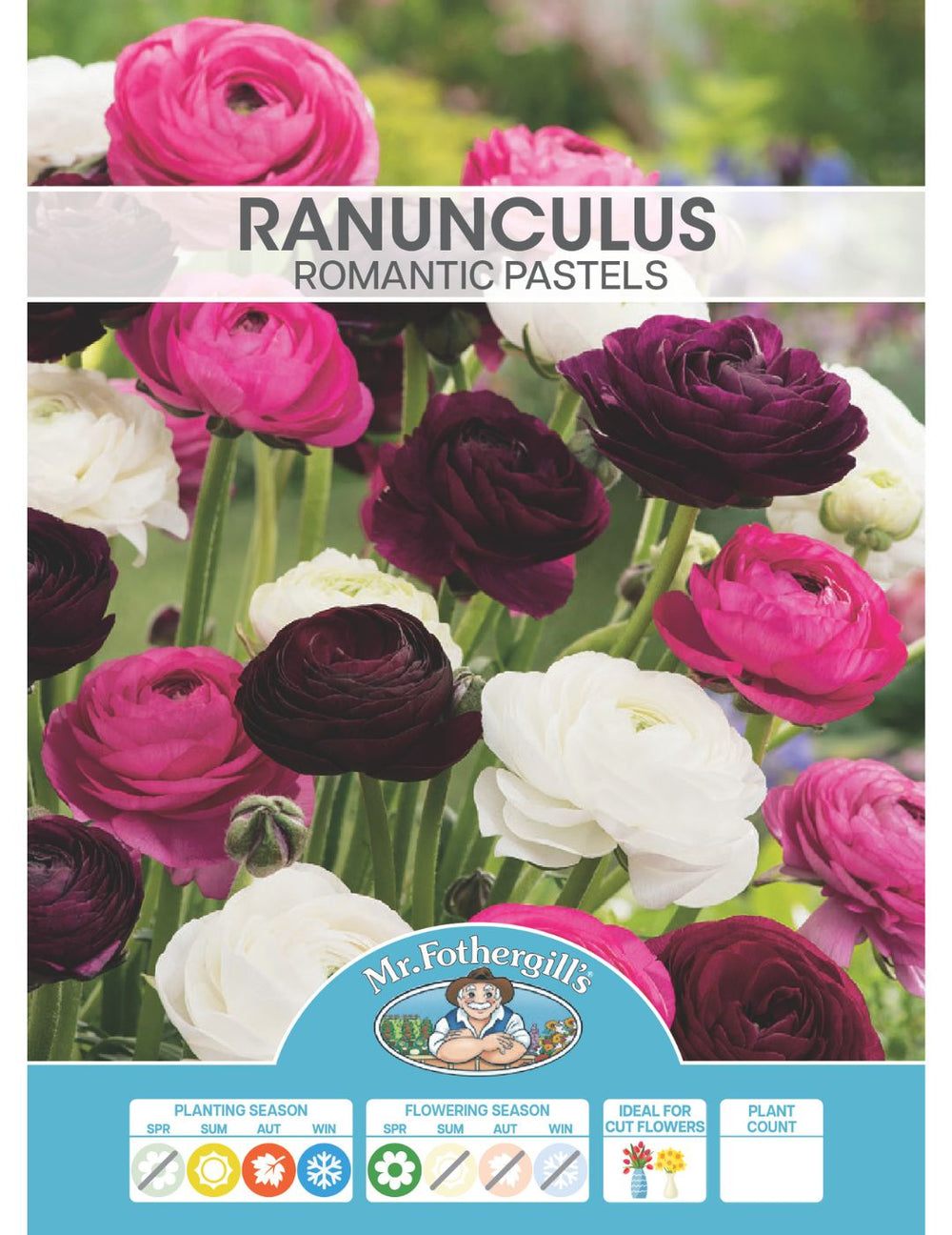Ranunculus Bulbs | Ranunculus Corms | Mr Fothergill's Seeds
