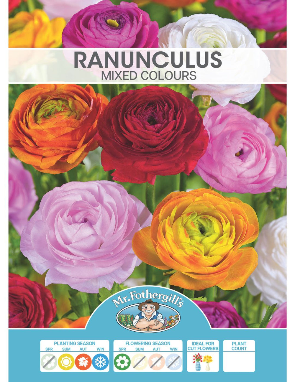 Ranunculus Bulbs | Ranunculus Corms | Mr Fothergill's Seeds