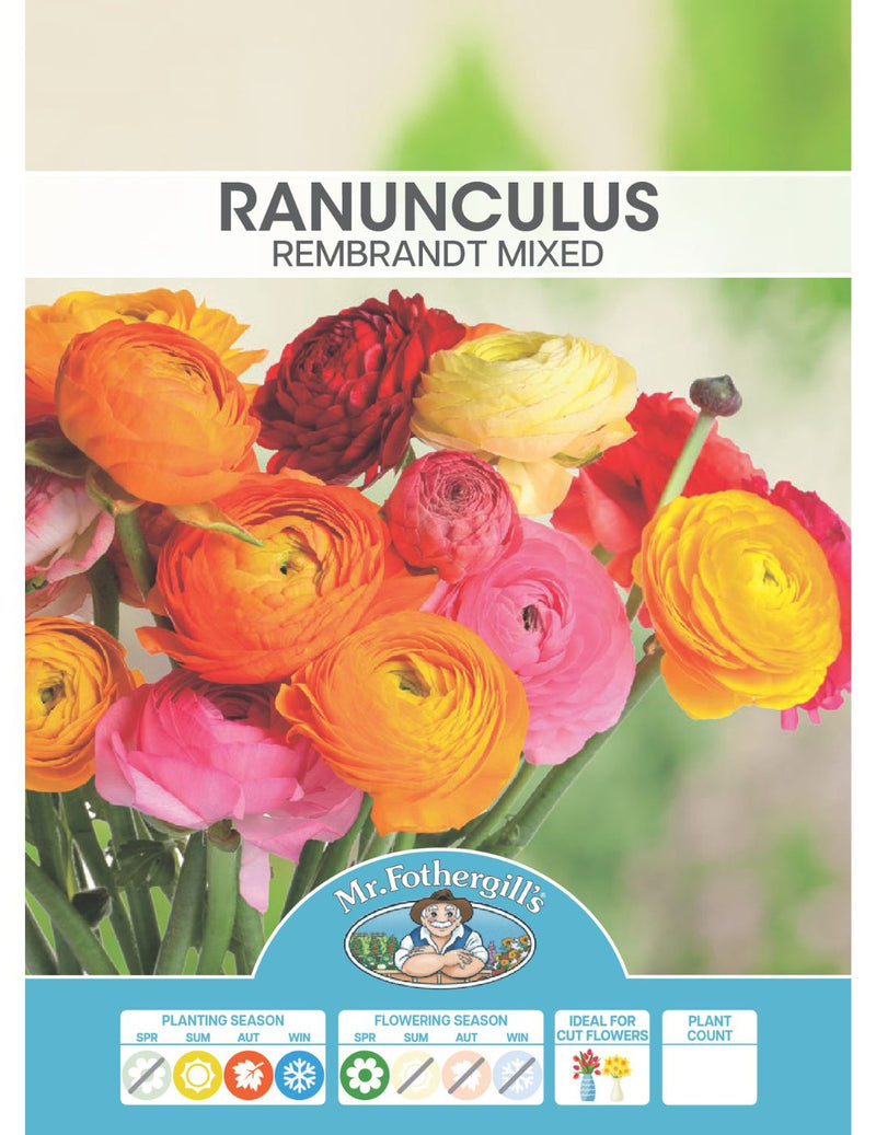Ranunculus Bulbs | Ranunculus Corms | Mr Fothergill's Seeds