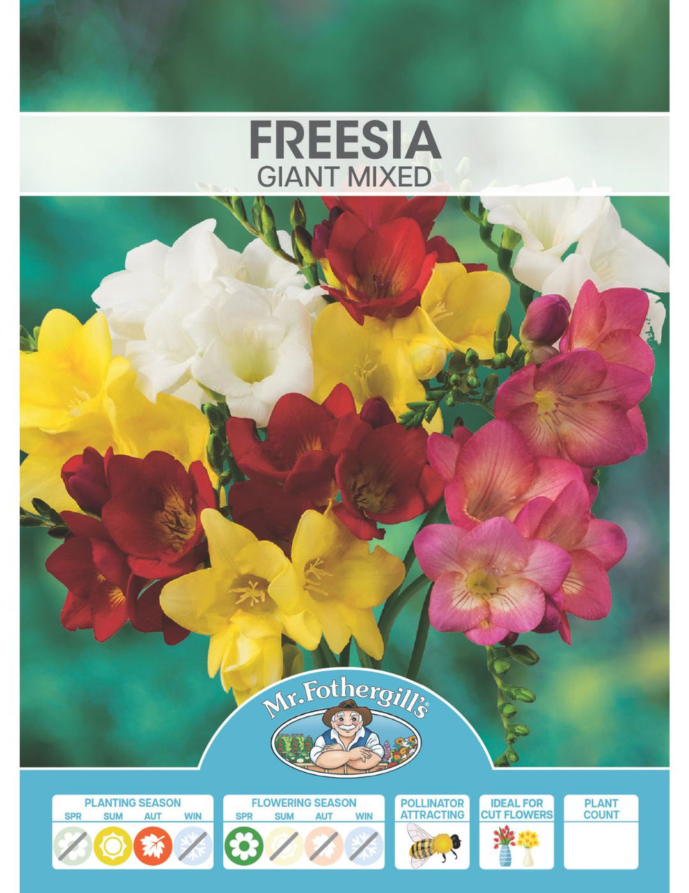 Freesia Bulbs | Freesia Corms | Mr Fothergill's Seeds