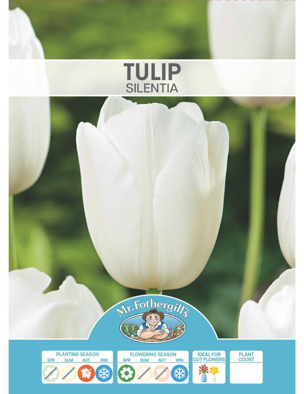 Tulip Bulbs | Flower Bulbs | Mr Fothergill's Seeds