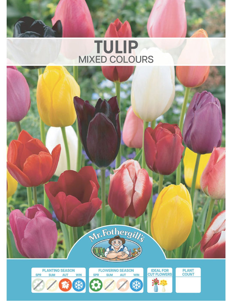Tulip Bulbs | Flower Bulbs | Mr Fothergill's Seeds