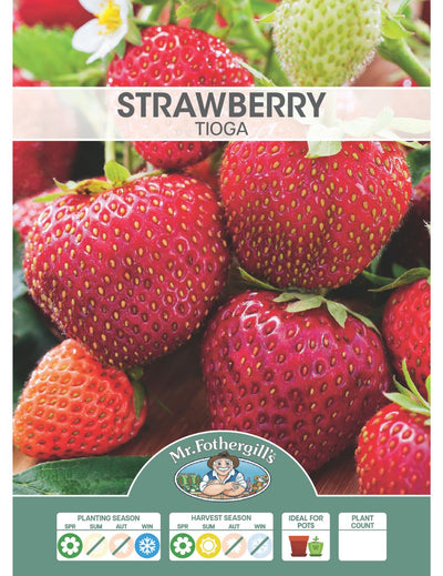 Strawberry Crowns | Strawberry Plant Crowns | Mr Fothergill’s