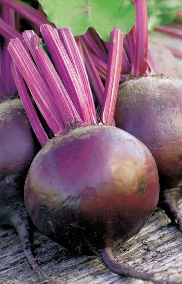 Moulin Rouge Beetroot Seeds | Mr Fothergill's