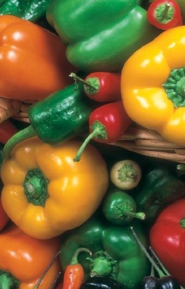 Capsicum Sweet Allsorts Mixed | Capsicum Seeds | Vegetable Seeds by Mr ...