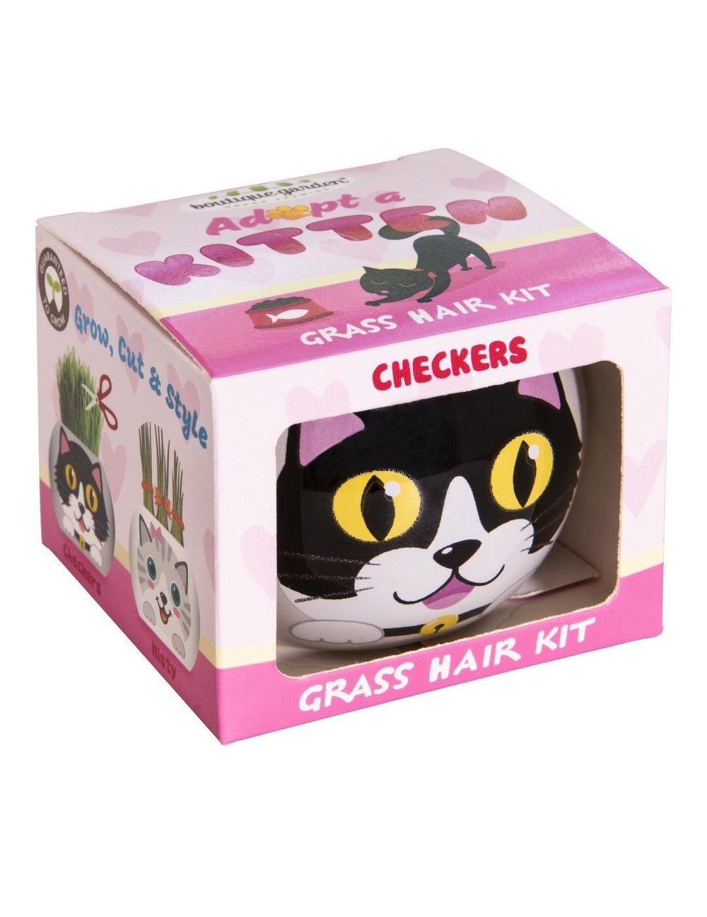 Grass Grow Kit - Kittens (Checkers) | Mr Fothergill's