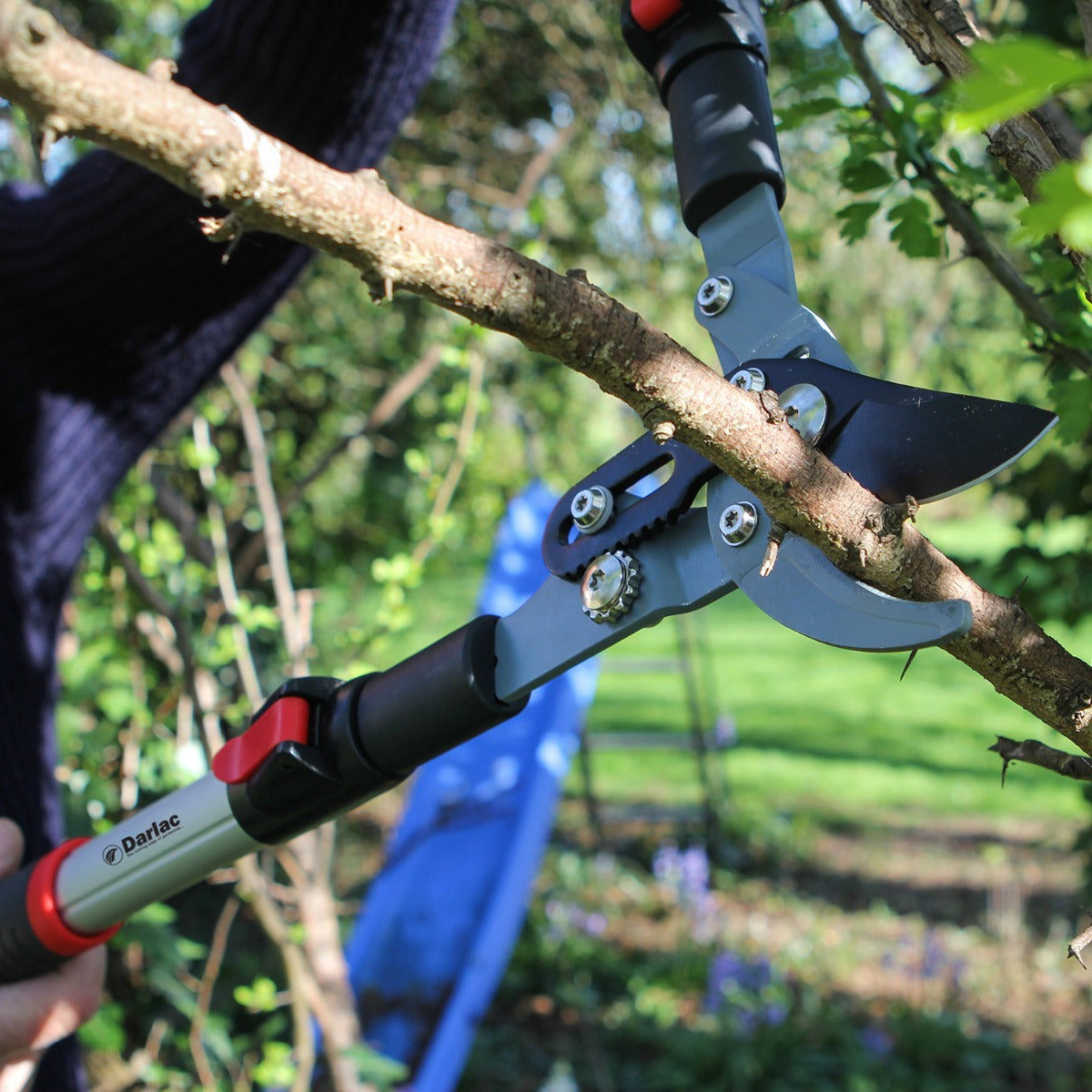 Darlac Telescopic Bypass Lopper Gardening Tools Mr Fothergill s