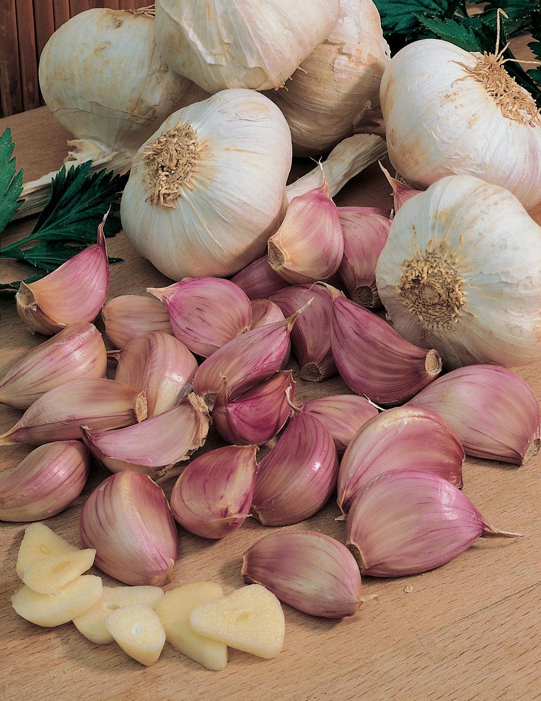 Garlic Gourmet Selection Bulb (Season: Feb-May) | Mr Fothergill's