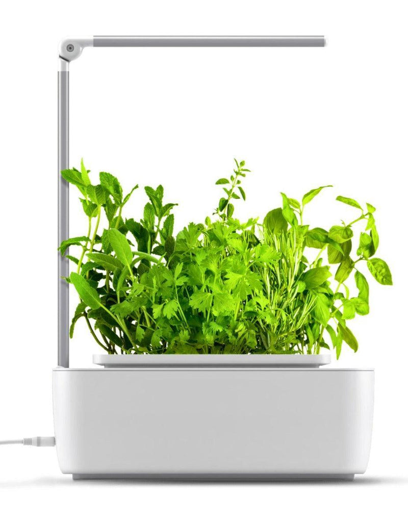 HYDROgarden Classic All-In-One Grow Kit | Mr Fothergill's