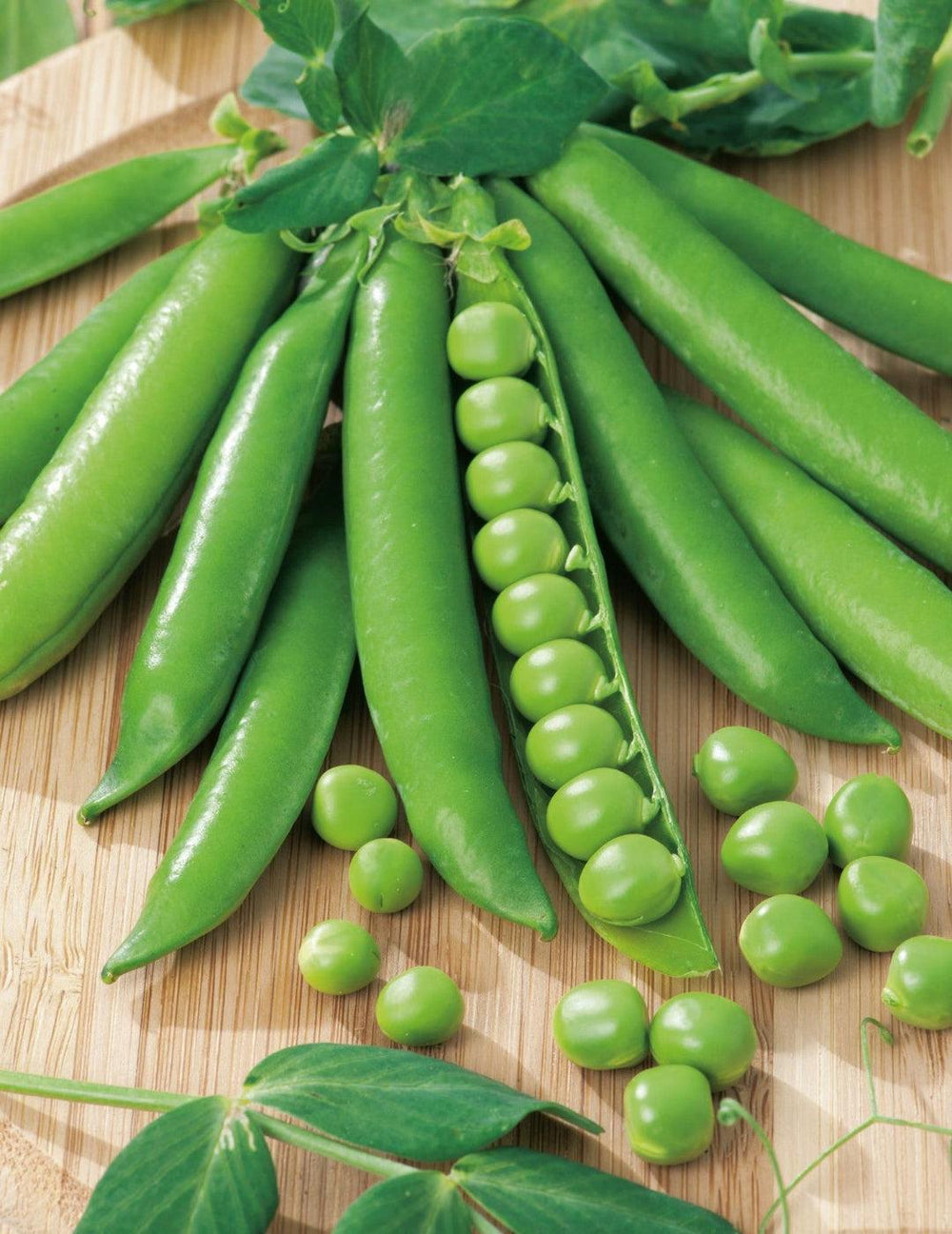 Greenfeast Pea Seeds | Mr Fothergill's