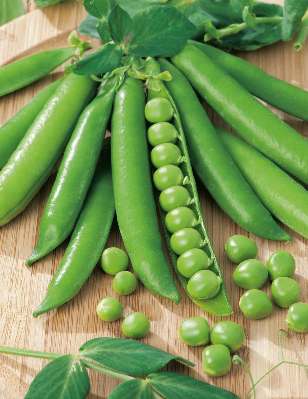 Greenfeast Pea Seeds | Mr Fothergill's