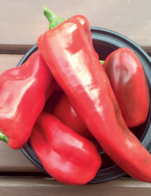 Chilli Seeds | Cayenne Chilli Seeds | Mr Fothergill's Seeds