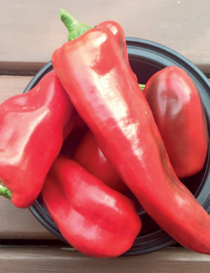 Big Jim Chilli Seeds | Mr Fothergill's