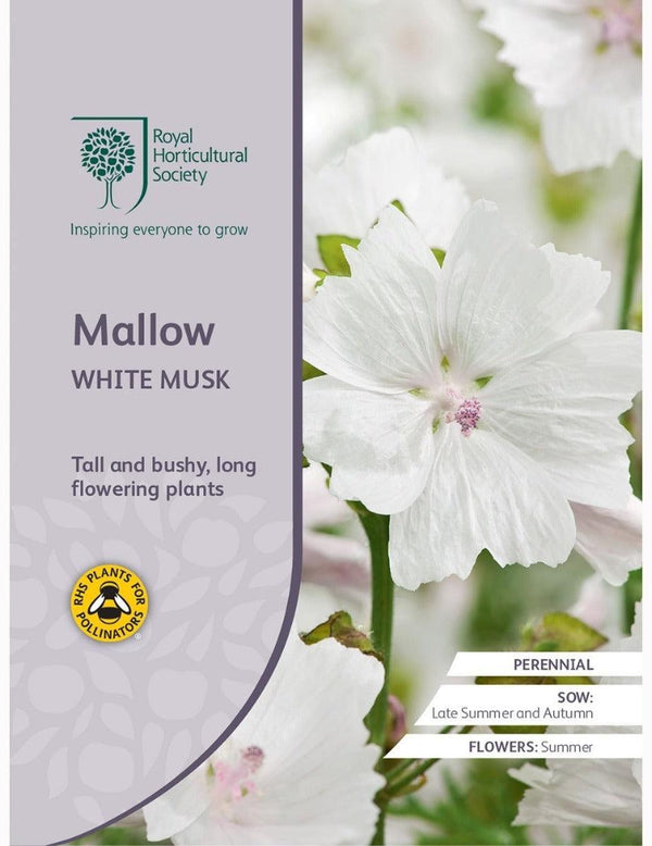 White Musk Mallow Seeds | Mr Fothergill's