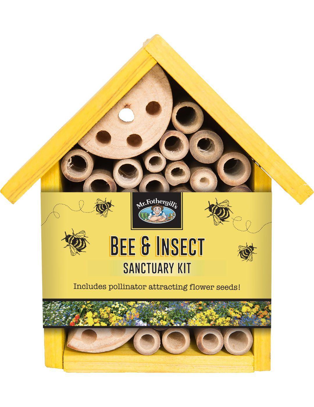 Small Bee & Insect House | Mr Fothergill's