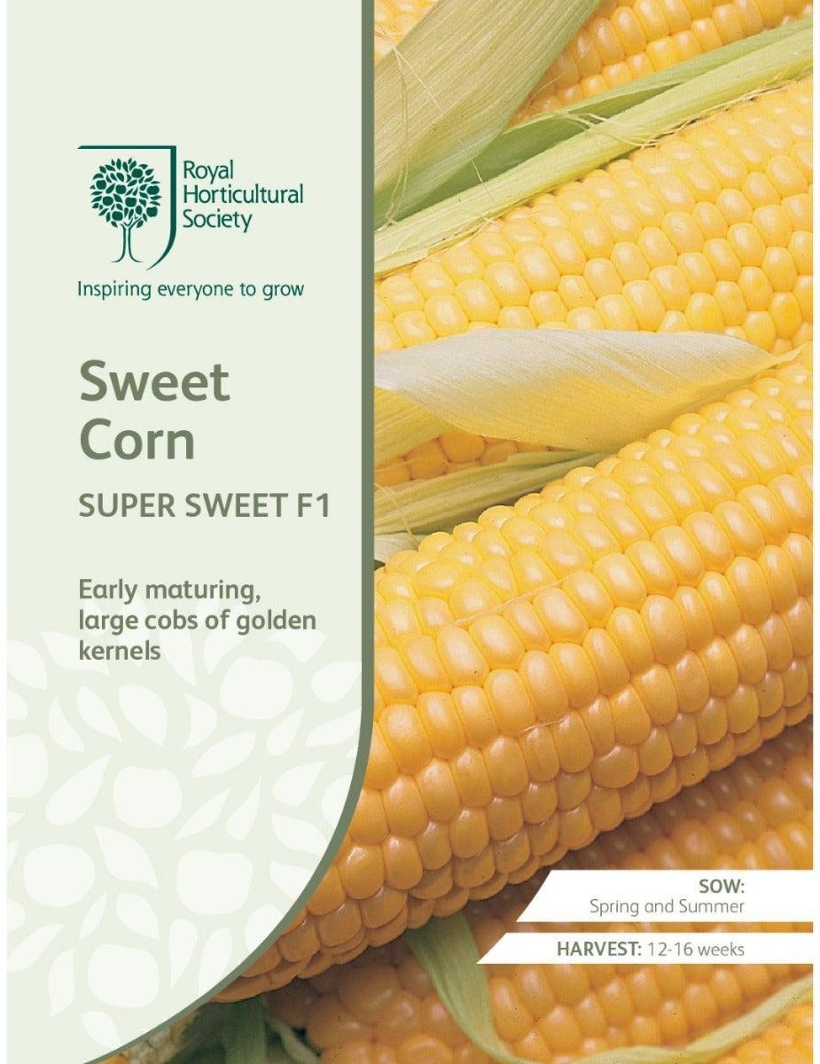 Super Sweet F1 Sweet Corn Seeds | Mr Fothergill's