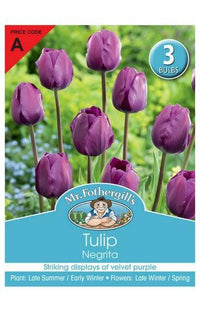 Tulip Bulbs | Flower Bulbs | Mr Fothergill's Seeds