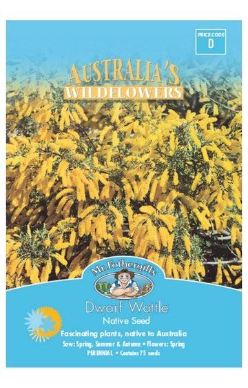 Dwarf Wattle Wildflower | Wildflower Seeds | Flower Seeds by Mr Fothergills