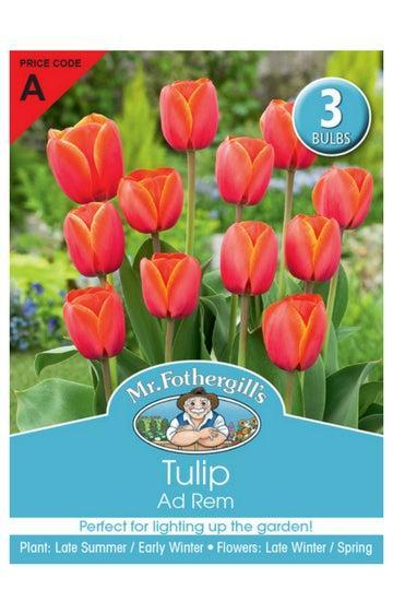 Tulip Bulbs | Flower Bulbs | Mr Fothergill's Seeds