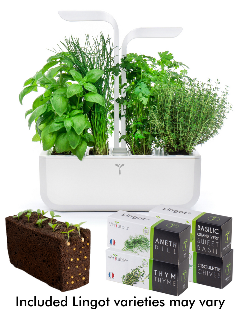 Véritable Indoor Garden | Veritable Lingots | Mr Fothergill's