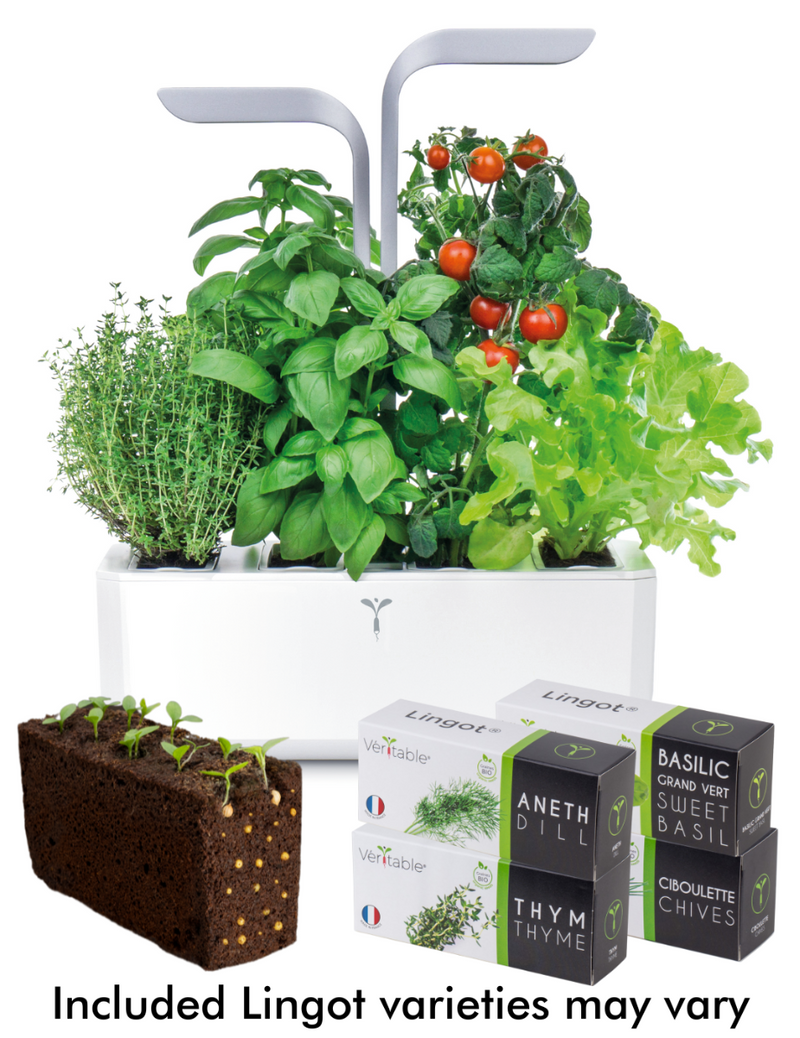 Véritable Indoor Garden | Veritable Lingots | Mr Fothergill's