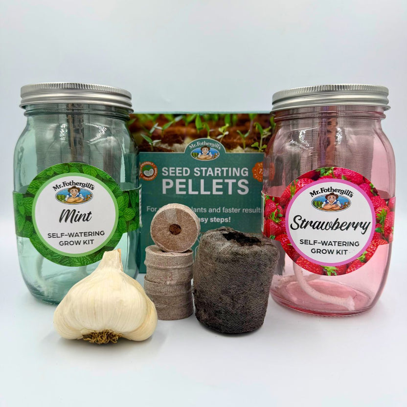 How to Grow Ranunculus | Growing Guide | Mr Fothergill’s Seeds