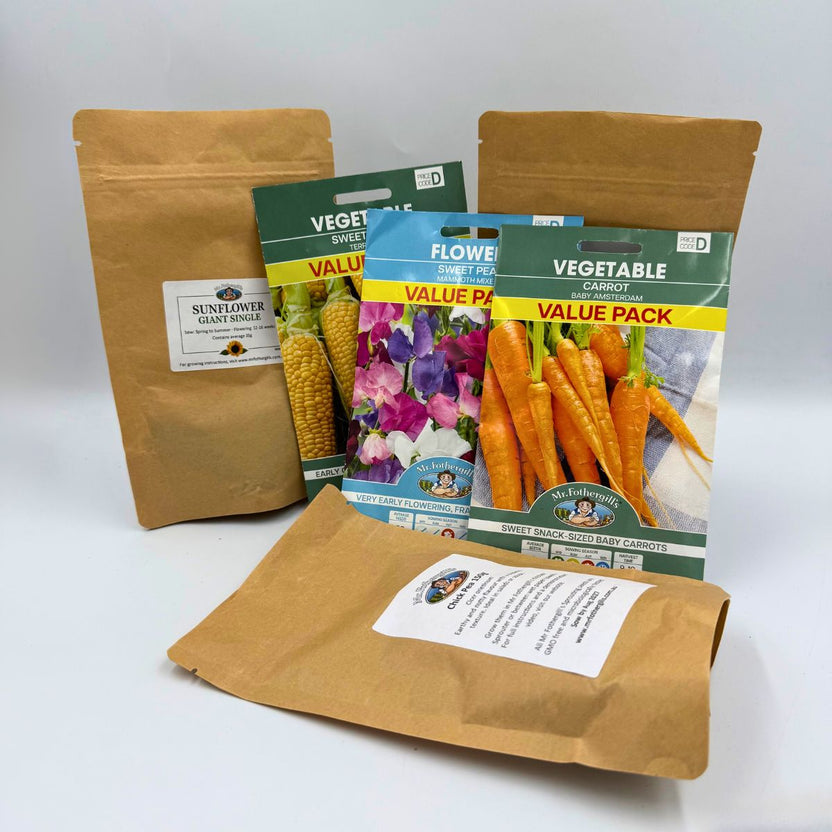 How to Grow Ranunculus | Growing Guide | Mr Fothergill’s Seeds