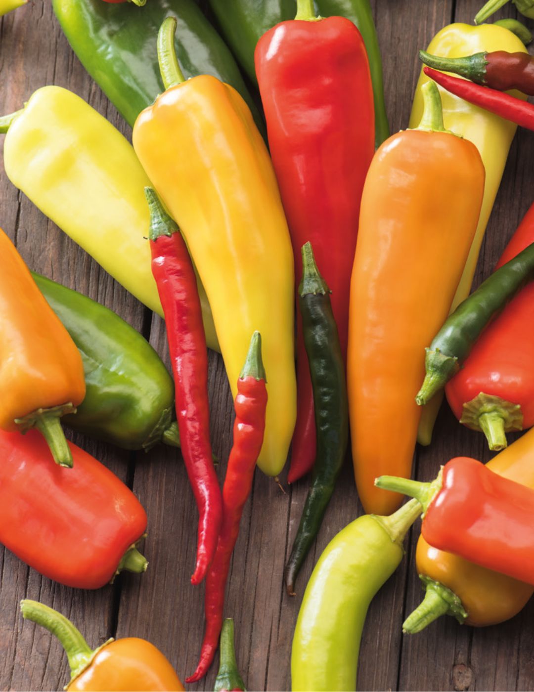 Chilli Shake Seeds Mixed | Mr Fothergill's