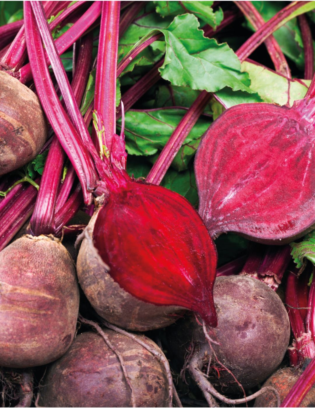 Detroit 2 Organic Beetroot Seeds | Mr Fothergill's